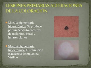 Patologías frecuentes de la piel | PPT