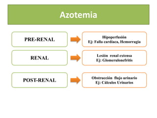 Patología Veterinaria, Sistema Urinario | PPTX