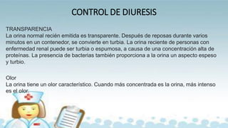 patologías urinarias (control de diuresis - control de hematuria).pdf