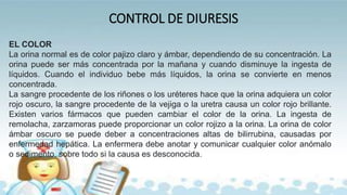 patologías urinarias (control de diuresis - control de hematuria).pdf