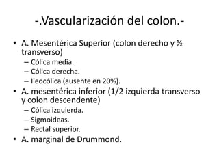 Patología vascular del intestino grueso | PPT