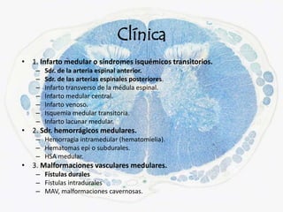 Patología vascular medular. | PPTX