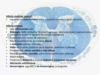 Patología vascular medular. | PPTX