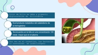 Patología de la vesicular y vía biliar.pptx