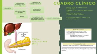 Patología de vía biliar, colangitis, colecistitis | PPTX