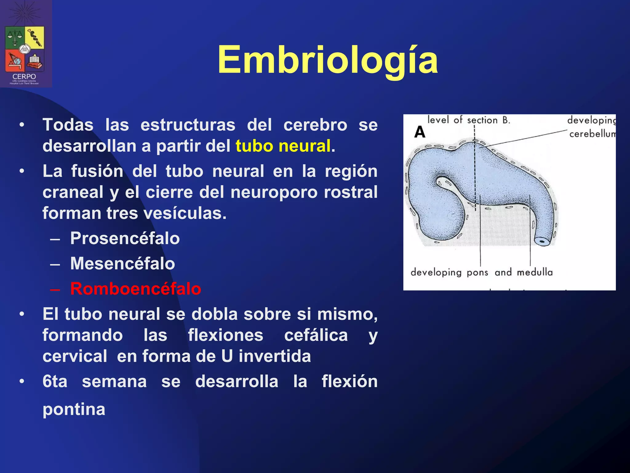 patologia-fosa-posterior;-dra-ana-jara-zegarra_archivo.pdf