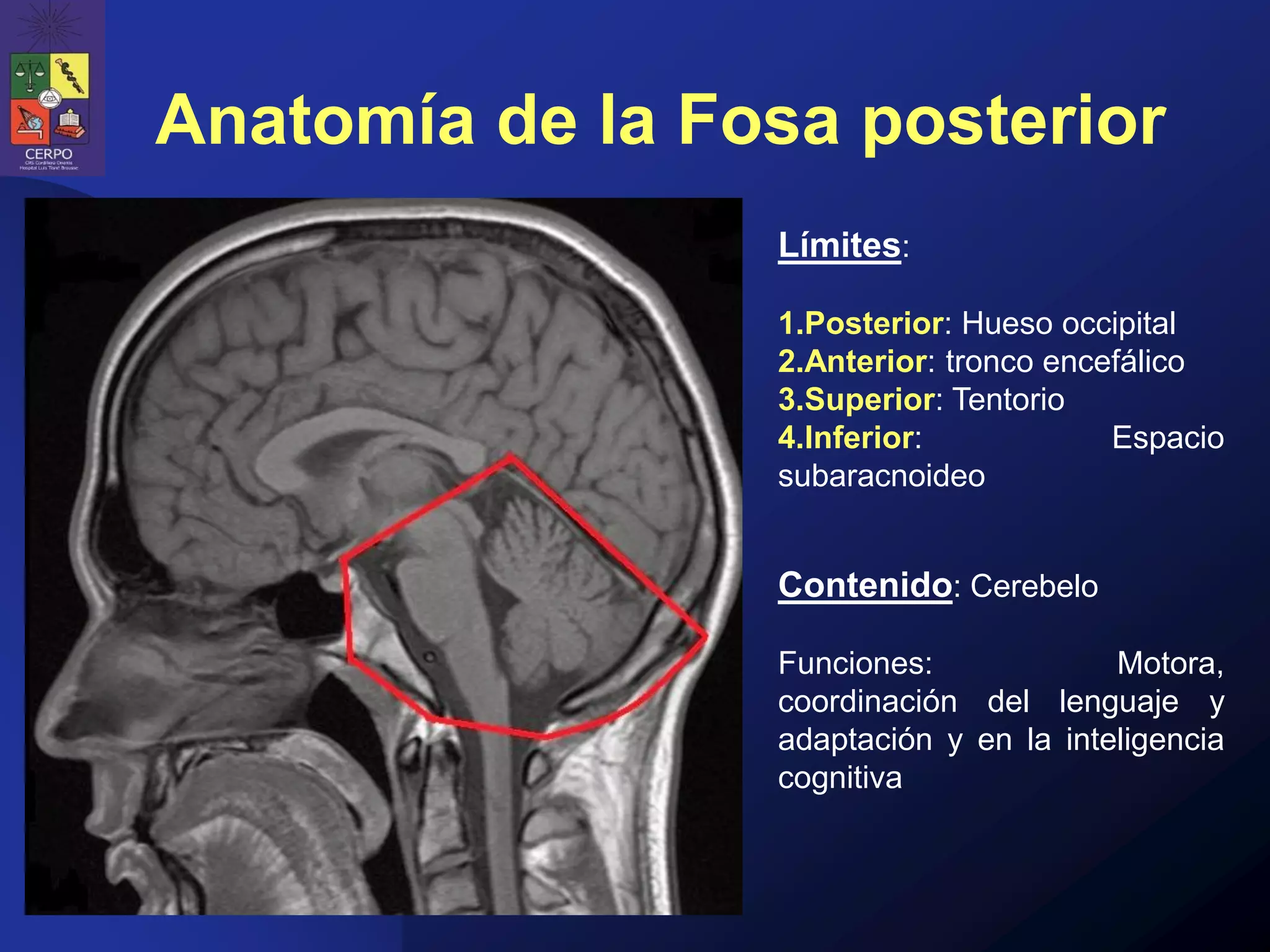 patologia-fosa-posterior;-dra-ana-jara-zegarra_archivo.pdf