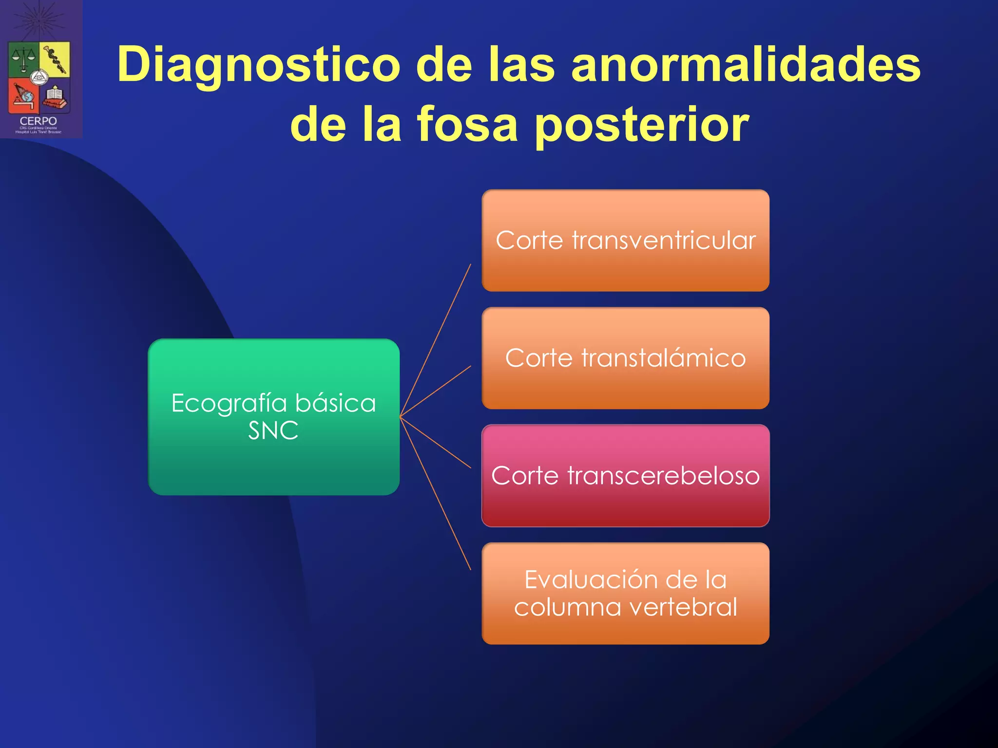 patologia-fosa-posterior;-dra-ana-jara-zegarra_archivo.pdf