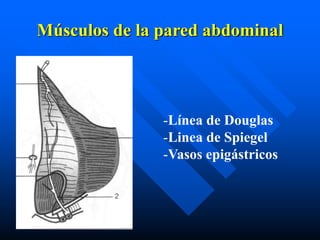 Patología herniaria | PPT
