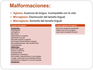 patologia-lingual.ppt