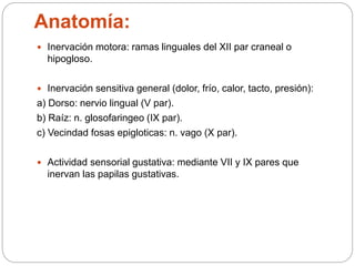 patologia-lingual.ppt