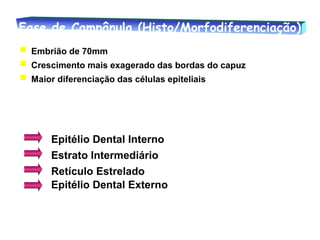 Patologia odontogenese | PPT
