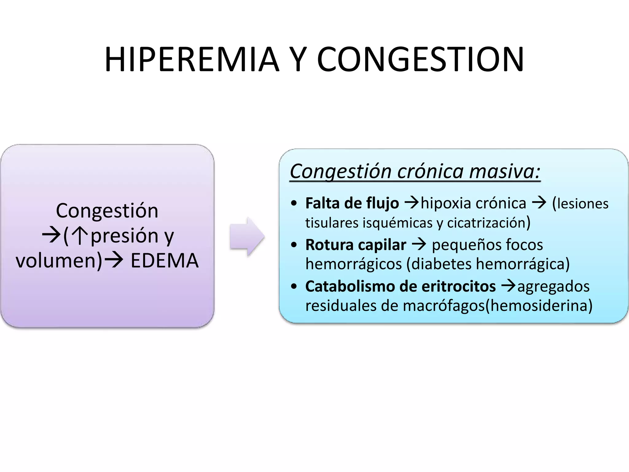 Patologia 5 a hiperemia y congestión | PPT