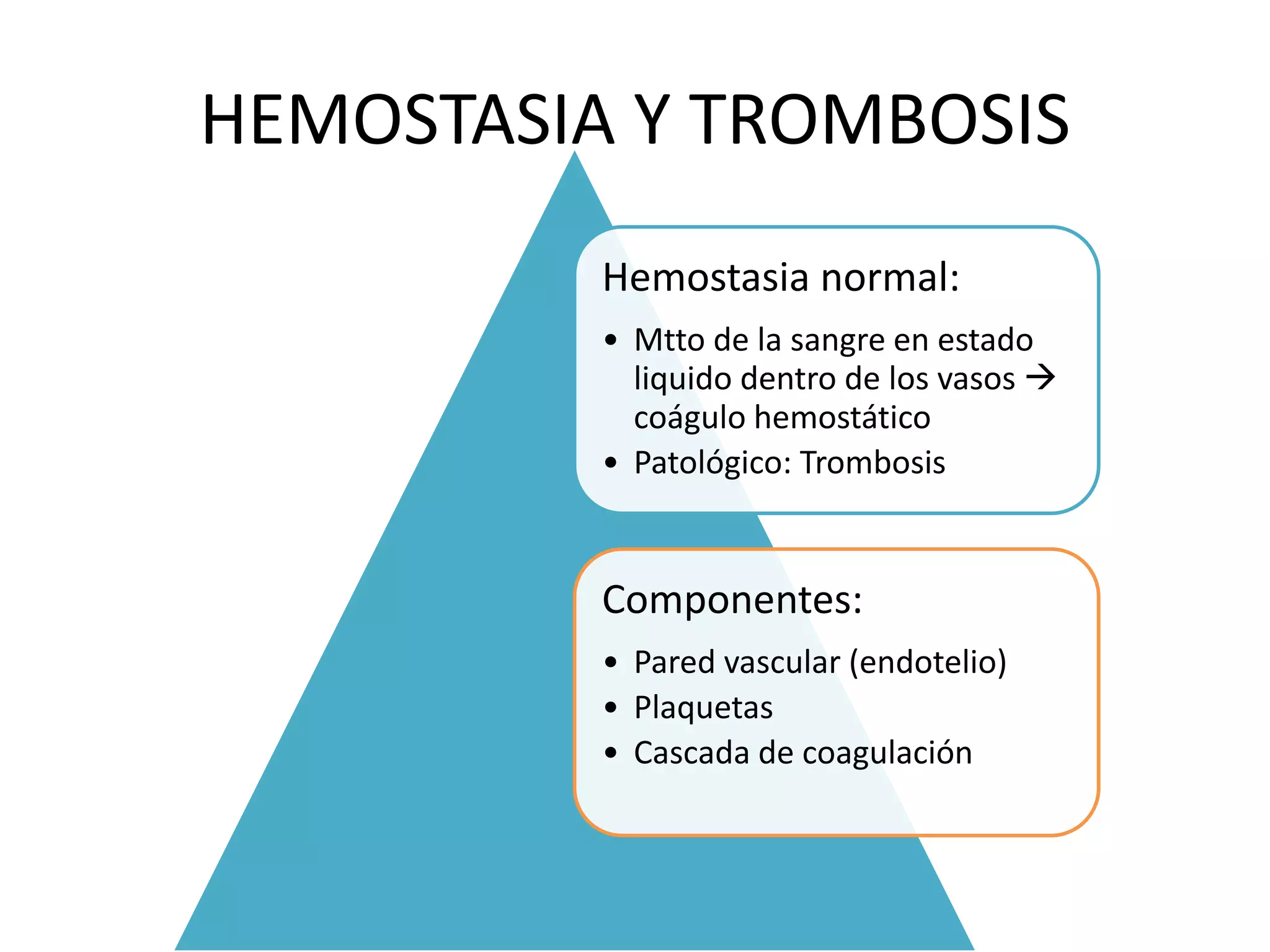 Patologia 5 a hiperemia y congestión | PPT