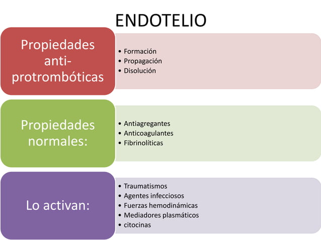 Patologia 5 a hiperemia y congestión | PPT
