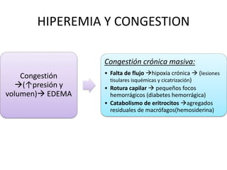 Patologia 5 a hiperemia y congestión | PPTX