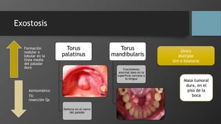 Patologia bucal | PPTX