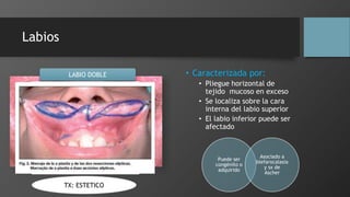Patologia bucal | PPTX