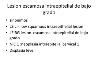 Anatomía Patológica Cervical (Cuello Uterino) | PPTX