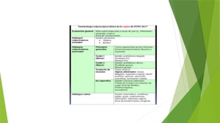 PATOLOGIA CERVICAL, DEFINICION CLASIFICACION | PPTX