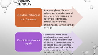 Patologia de la boca y gl. salivales maria sanchez | PPTX