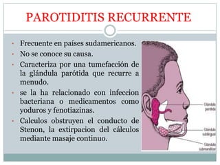 Patologia de la boca y glandulas salivales (Gianmarco Guzman Castillo ...