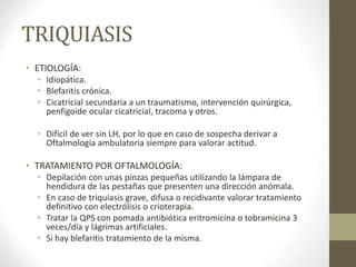 Patologia de la oftalmologia (parpados).ppt