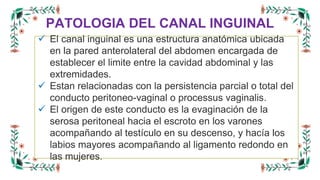 PATOLOGIA DEL CANAL INGUINAL -meneguellopptx | PPTX