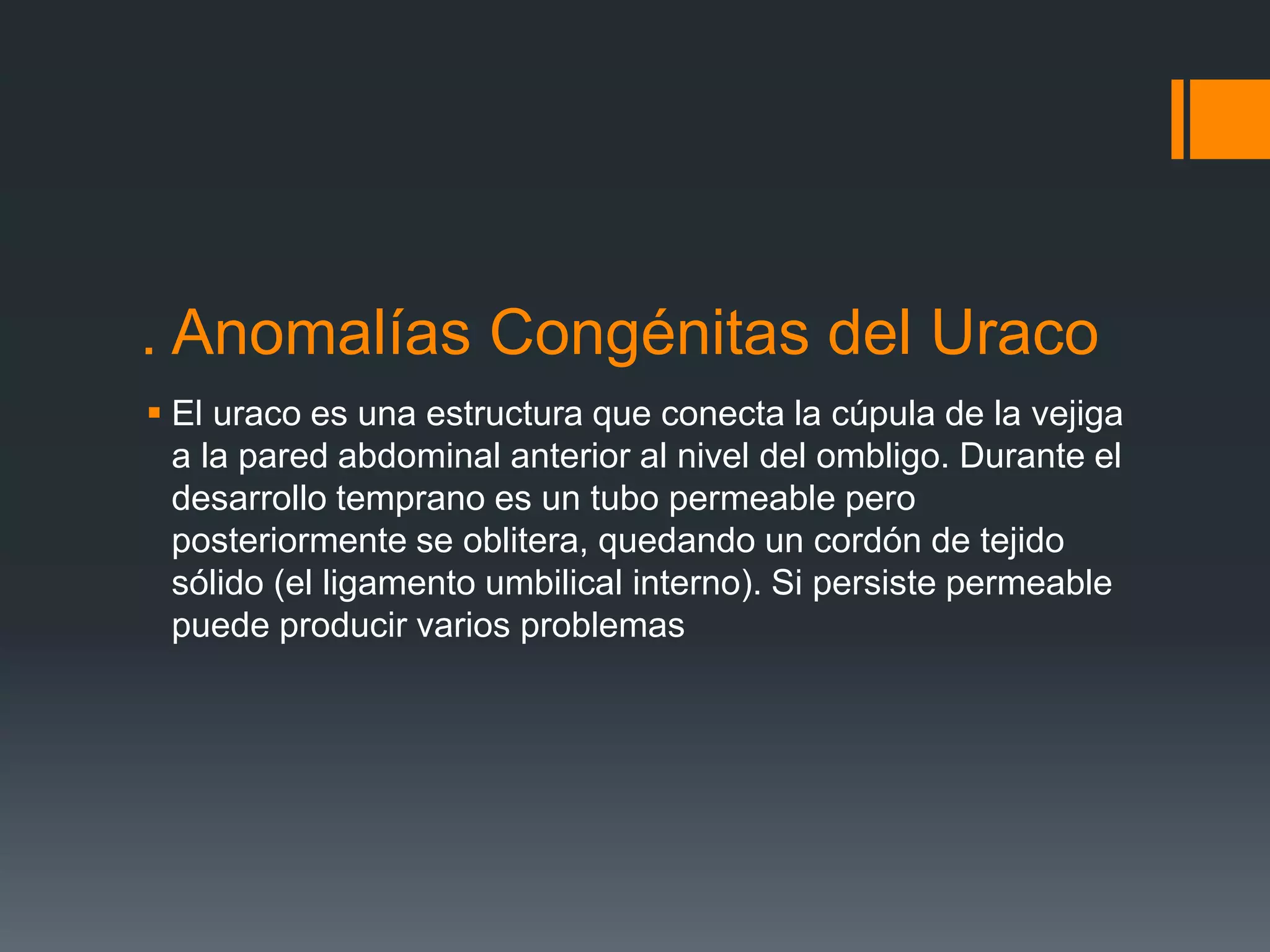 Patologia del cordon y persistencia del uraco