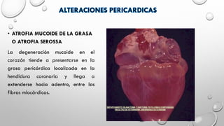 Patología del sistema circulatorio | PDF
