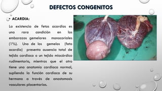 Patología del sistema circulatorio | PDF