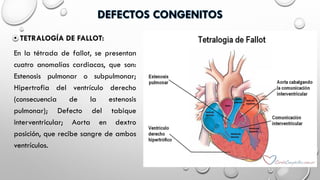 Patología del sistema circulatorio | PDF