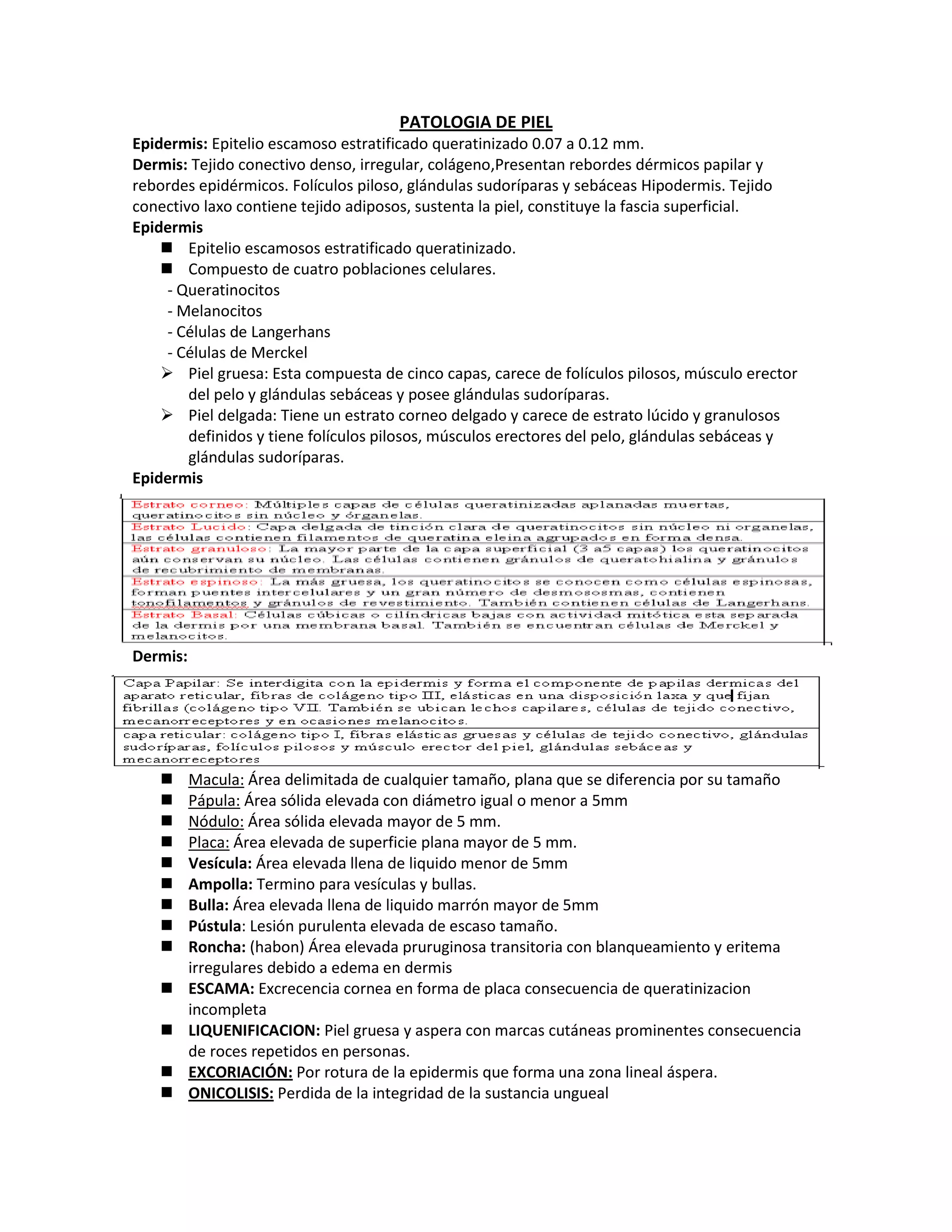 Patologia de piel | DOCX