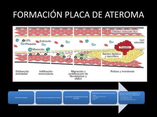 patologiaderetroperitoneoenecografia-150701032731-lva1-app6891.ppt