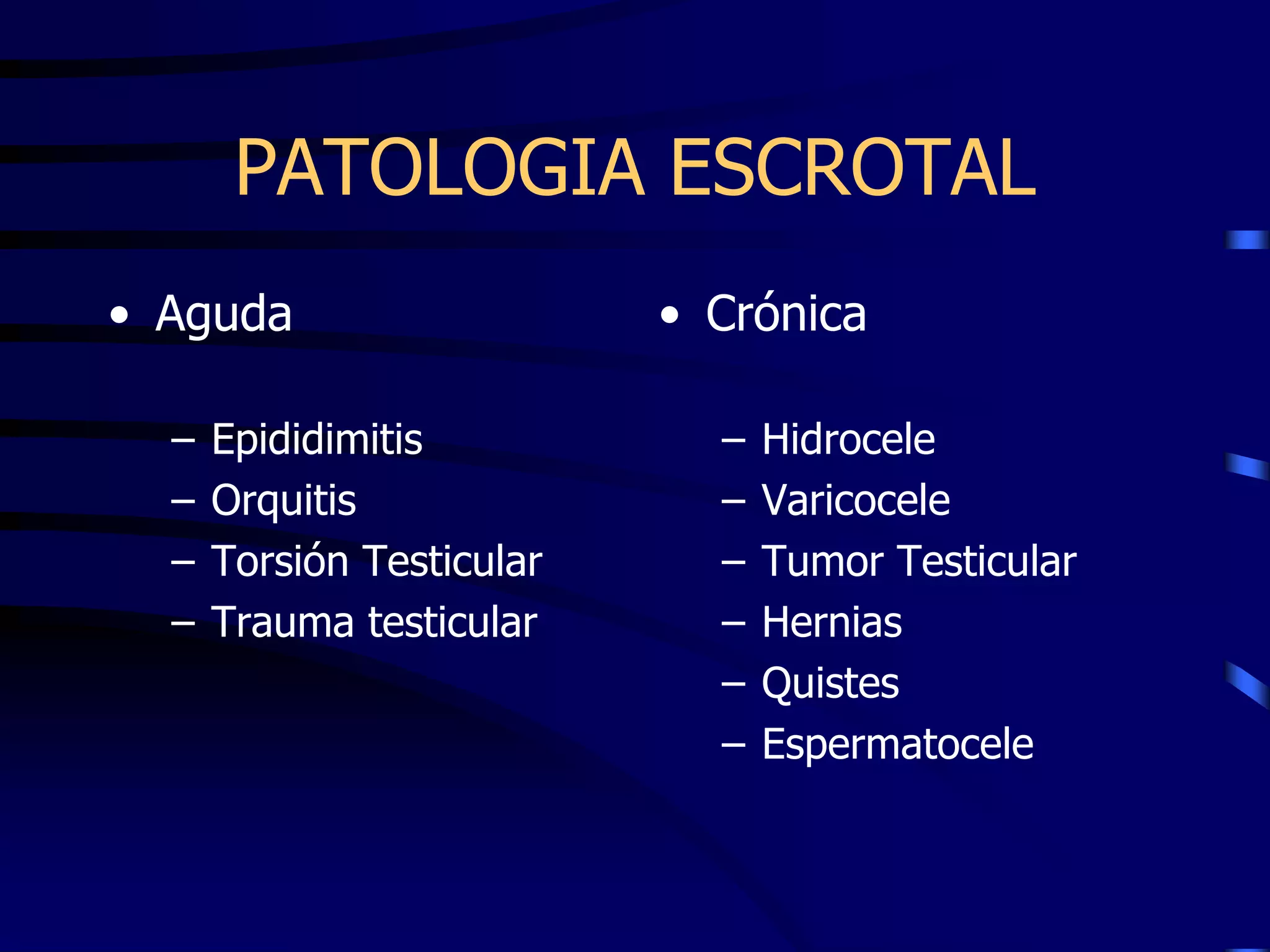 Patologia Escrotal | PPT