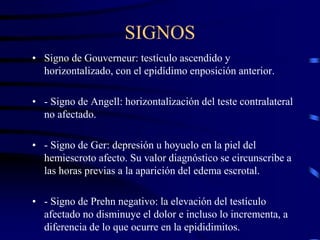 Patologia Escrotal | PPT