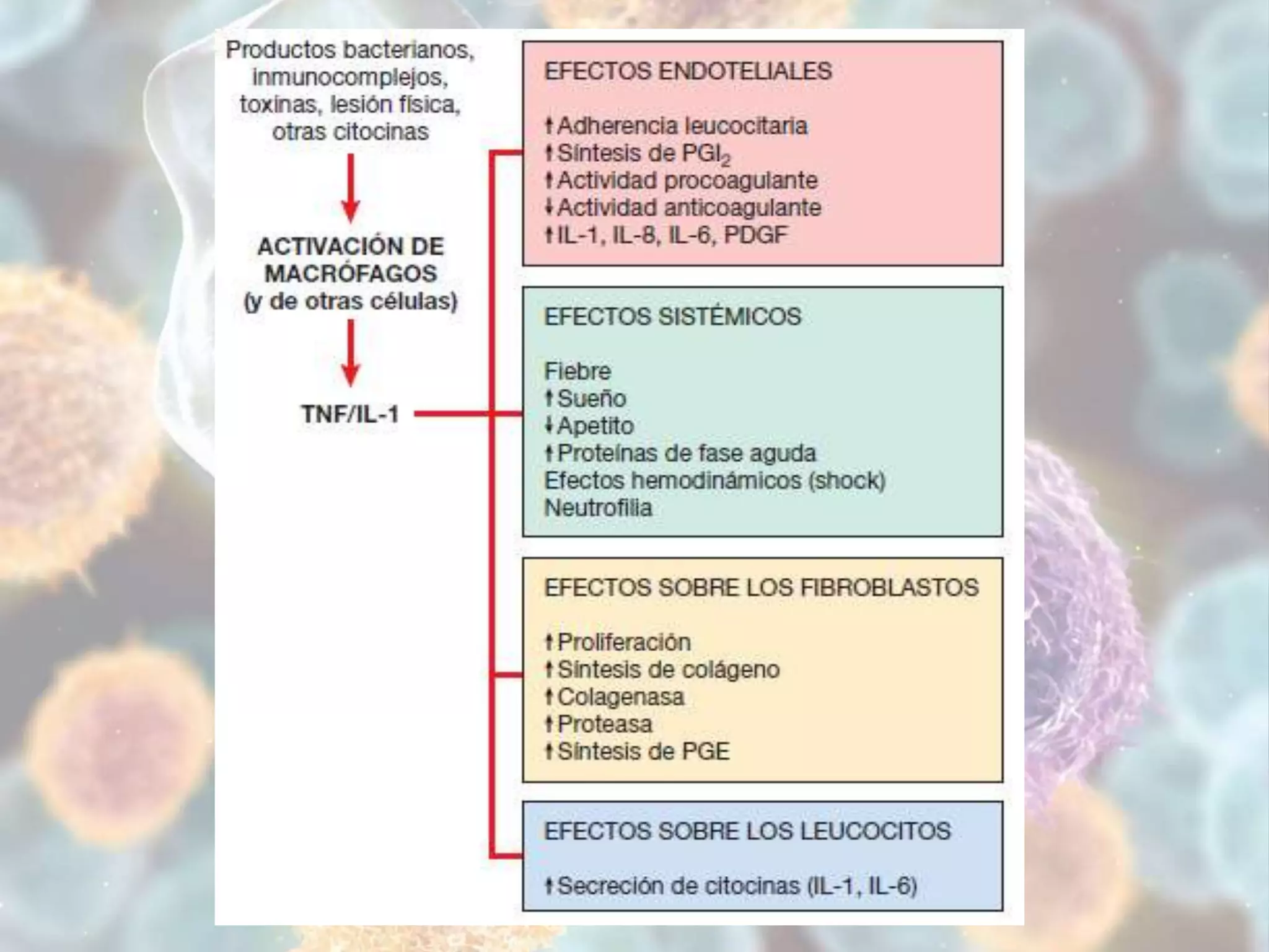MEDIADORES QUIMICOS DE LA INFLAMACION | PPTX | Chemistry | Science