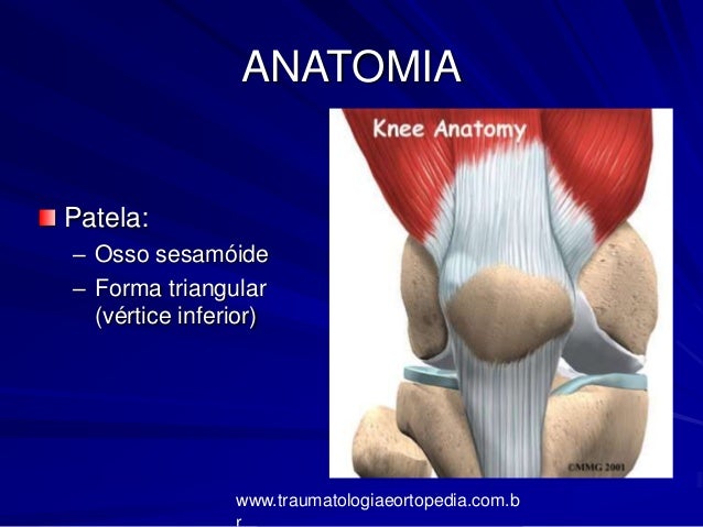 Patologia femuropatelar
