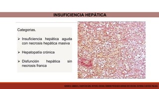 Patología Hepatobiliar anatomiaaaa.pptx