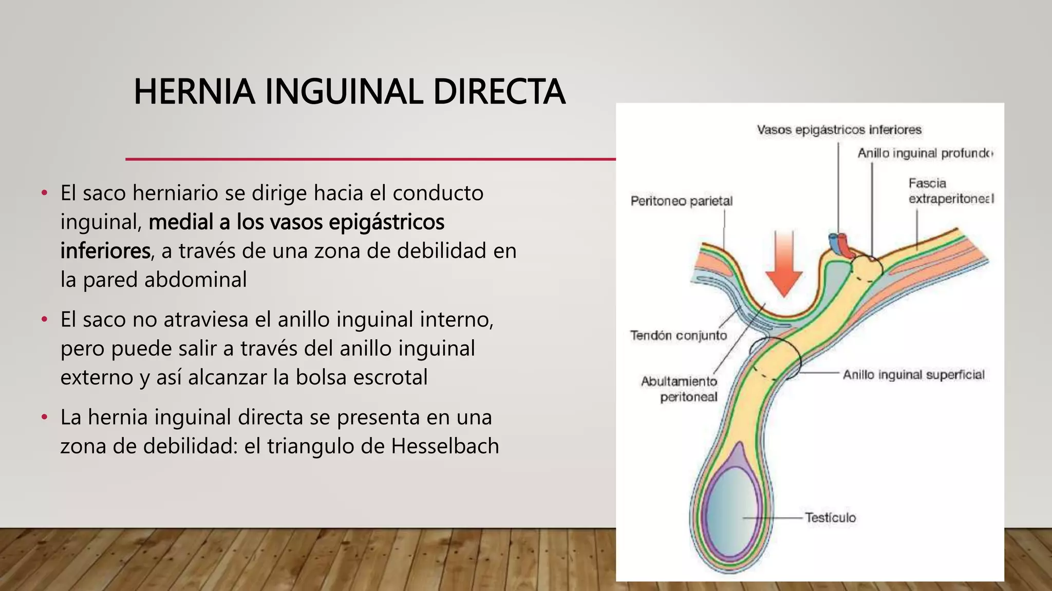Patología inguinal.pptx