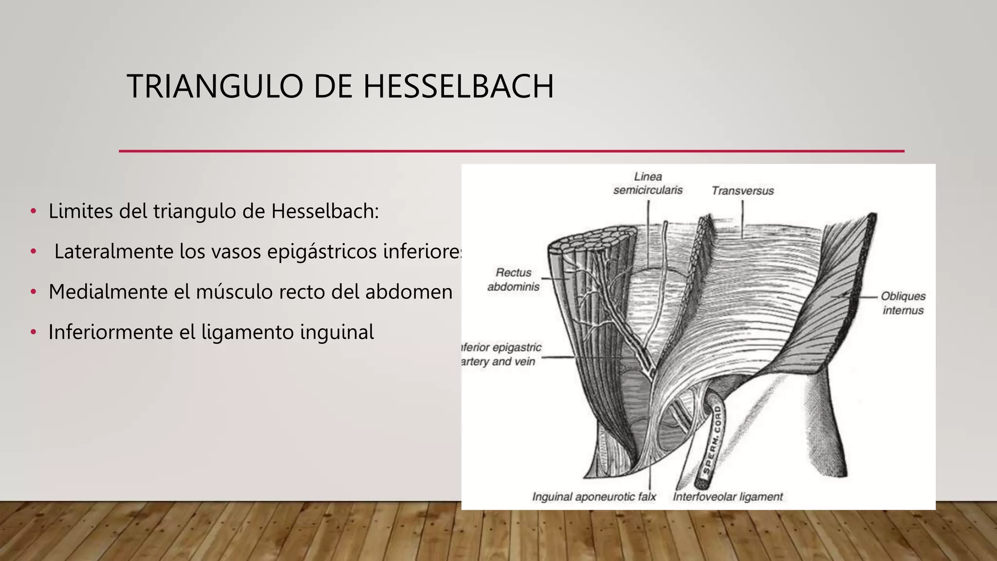 Patología inguinal.pptx
