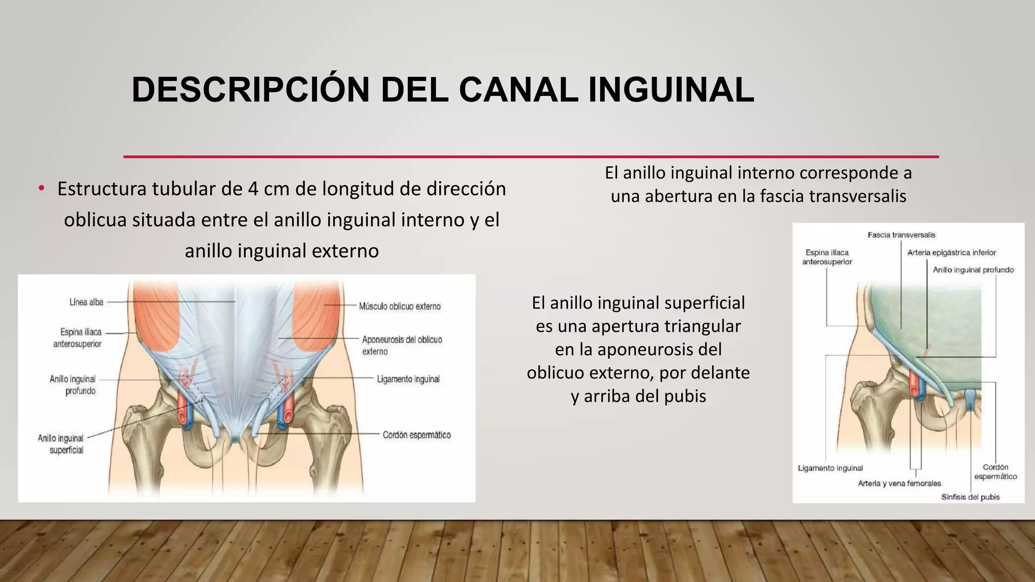 Patología inguinal.pptx