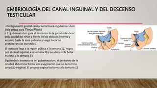 Patología inguinal.pptx