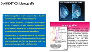 PATOLOGIA MAMARIA 2021.pptx