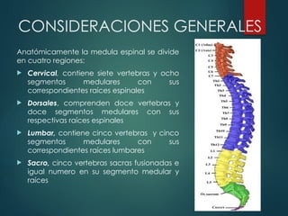 PATOLOGIA MEDULAR NO TRAUMATICA UDABOL.pptx