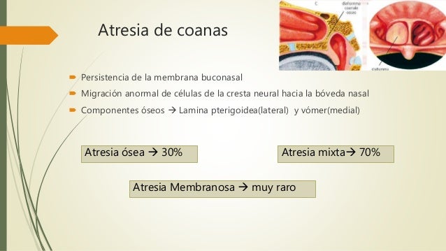 Patologia nasal pediatria