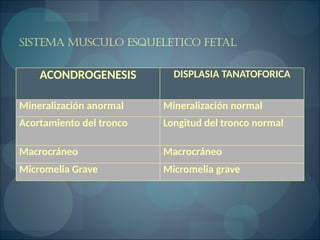 ecografia en patologia osteoarticular fetal | PPTX