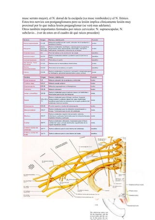 Patologia plexo braquial.pptx