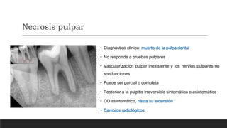 Patología pulpar.pptx