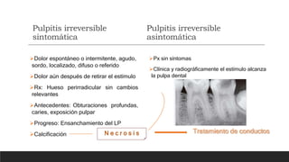 Patología pulpar.pptx